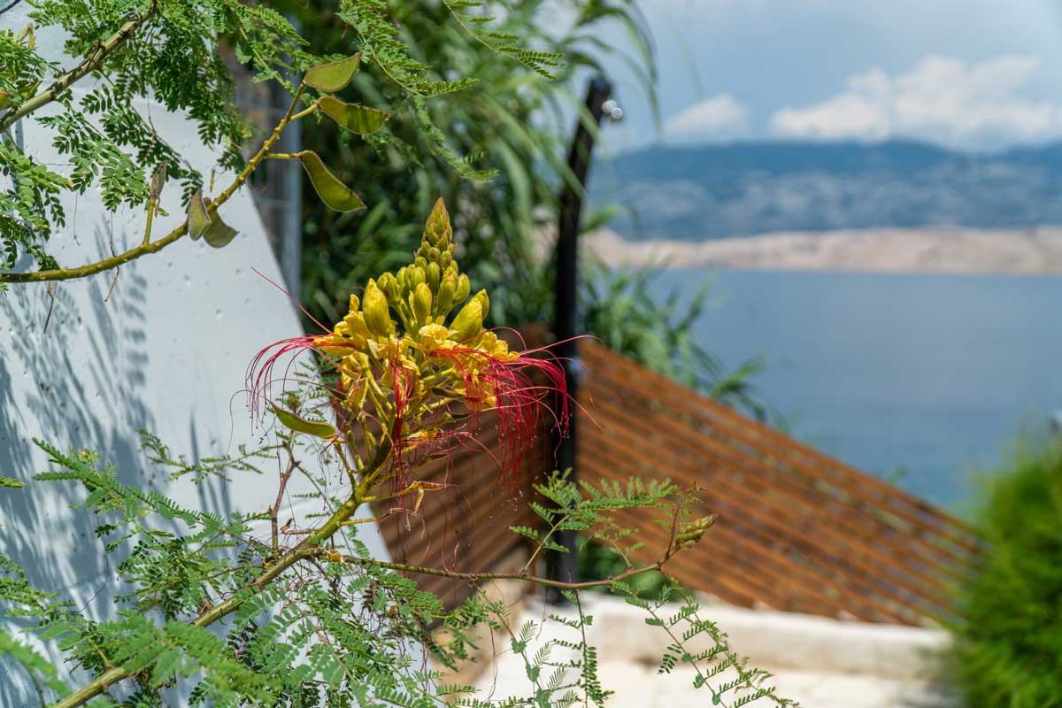 A White Cliffside Studio Apartment